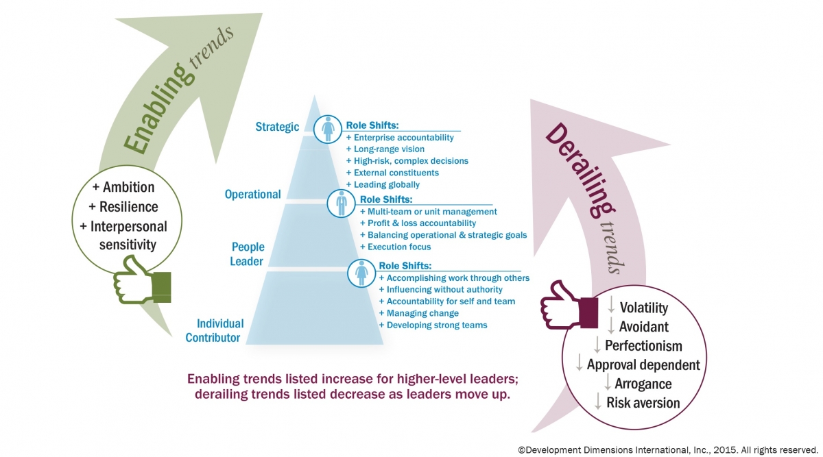 The New Leader Profile