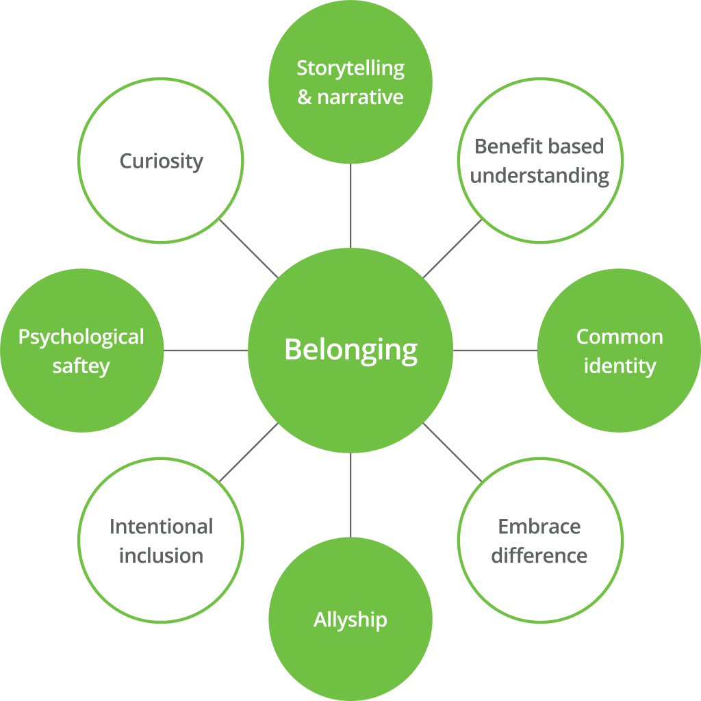The 8 Juggling Balls to Hardwiring Belonging – Not a Model, but a Journey