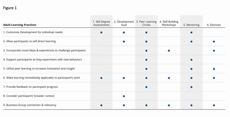 Case Study: Verizon’s VLeads Development Program